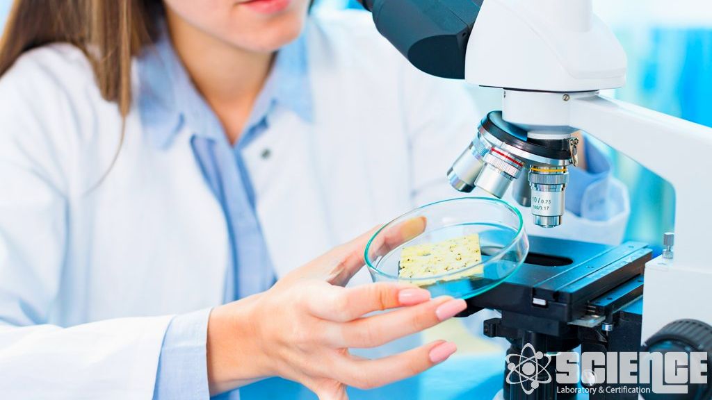 Ames Mutagenicity Test
