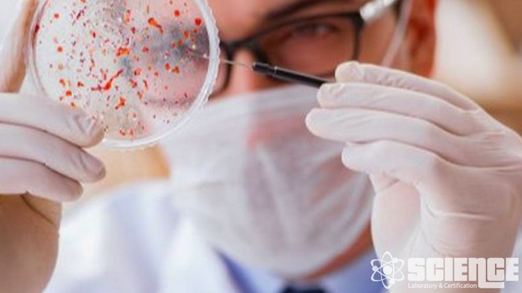 Bioburden Tissue Test