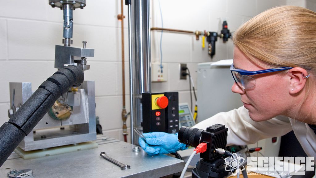 Differential Scanning Calorimetry (DSC) Analysis