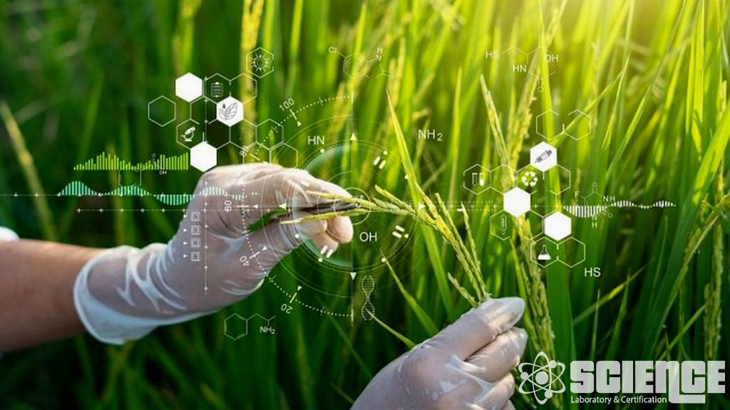 Ecotoxicology and Biodegradability Studies