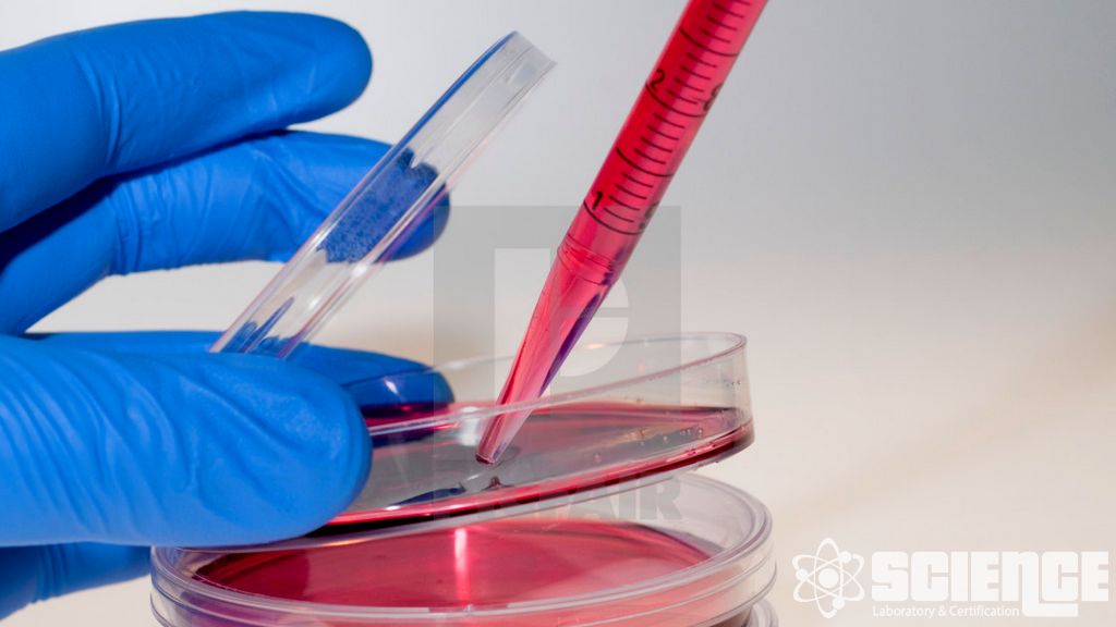 Physicochemical USP Plastic Tests