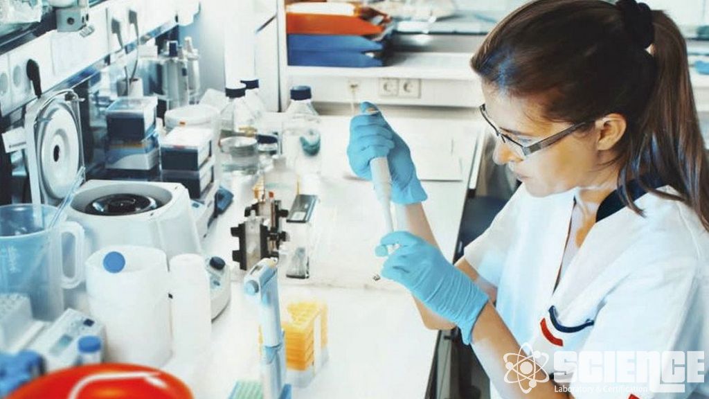 Raw Material, In-Process and Lot Release Test